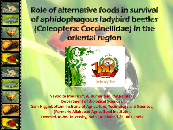 (PDF) Role of alternative foods in survival of aphidophagous ladybird ...