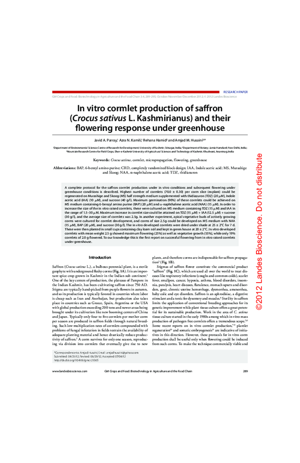 (PDF) In vitro cormlet production of saﬀron ( Crocus sativus L ...