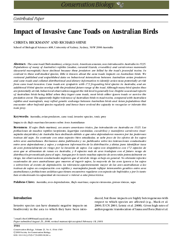 (PDF) Impact of Invasive Cane Toads on Australian Birds