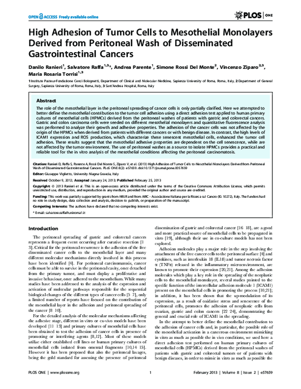 High Adhesion of Tumor Cells to Mesothelial Monolayers Derived from ...