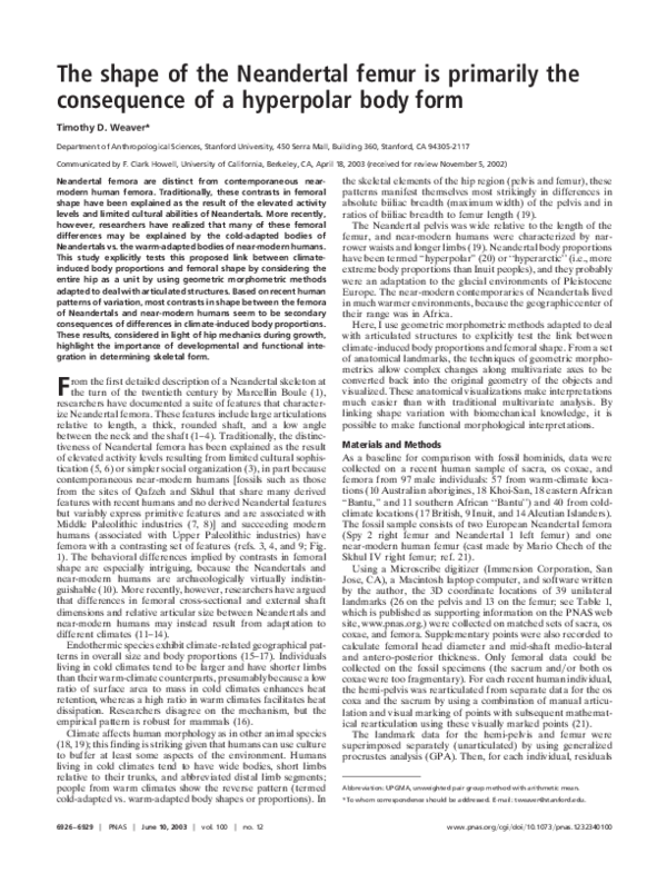(PDF) The shape of the Neandertal femur is primarily the consequence of ...