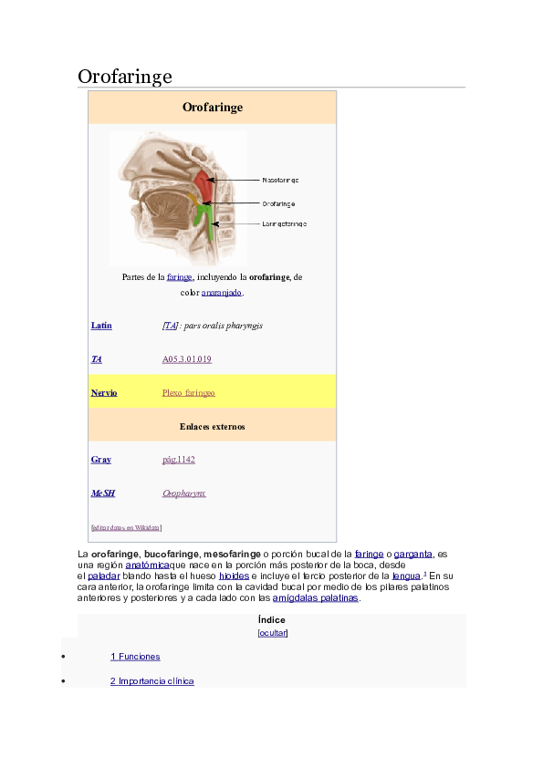 Rafe Medio De La Faringe
