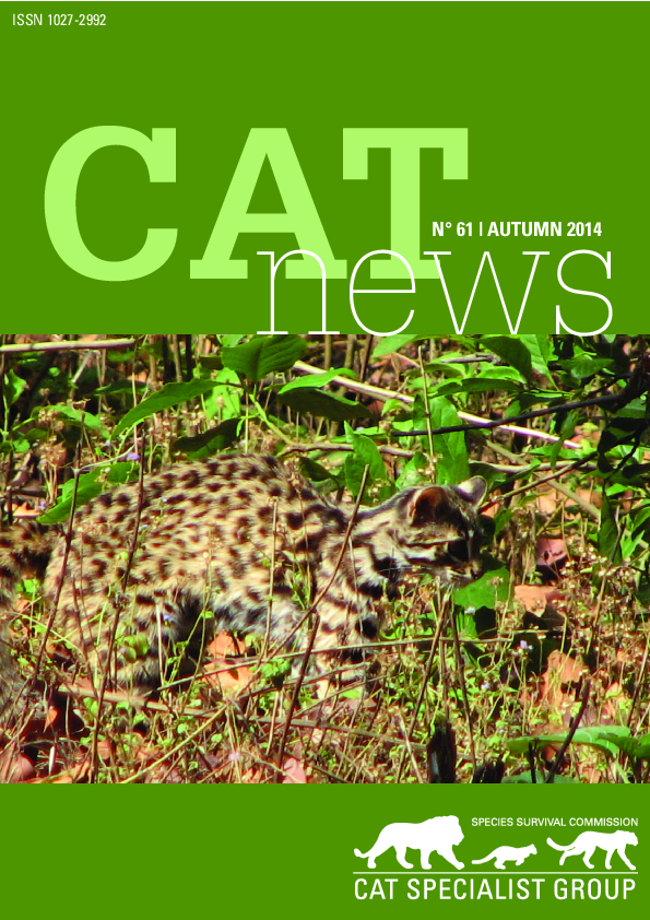 (PDF) Status of the common leopard in Afghanistan
