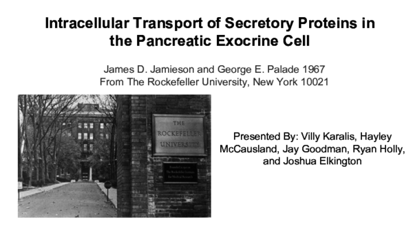 (PDF) Intracellular Transport of Secretory Proteins in the Pancreatic ...