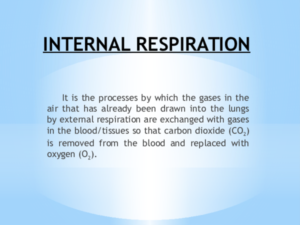 (PPT) Internal Respiration