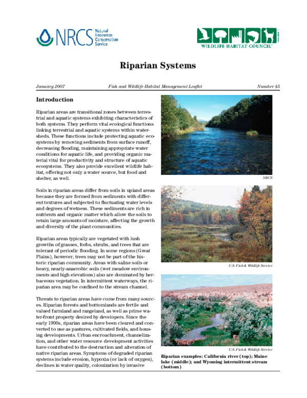 (PDF) Riparian Systems