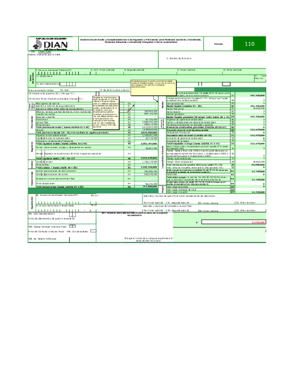 Formulario 110 DR 2010 con anexos basico copia