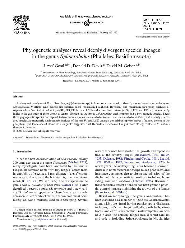 (PDF) Phylogenetic analyses reveal deeply divergent species lineages in ...