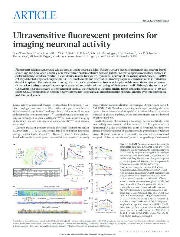 (PDF) Ultrasensitive fluorescent proteins for imaging neuronal activity