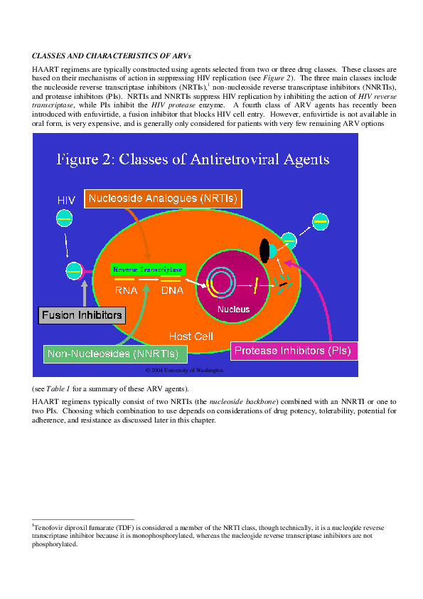 (PDF) CLASSES AND CHARACTERISTICS OF ARVs