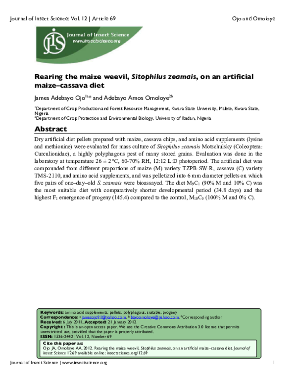 (PDF) Rearing the Maize Weevil, Sitophilus zeamais , on an Artificial ...