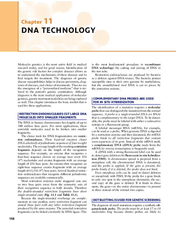 (PDF) DNA technology