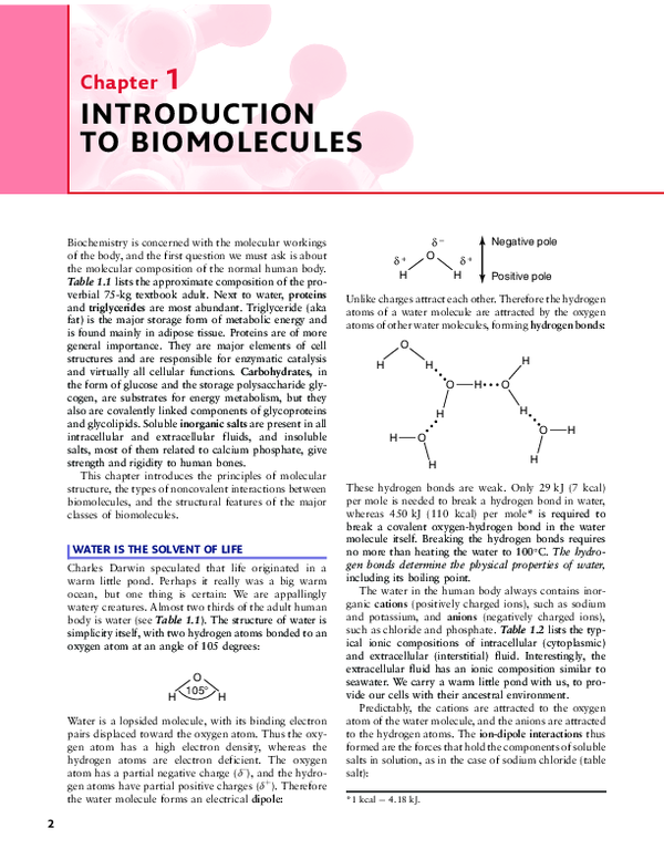 (PDF) PRINCIPLES OF BIOCHEMISTRY