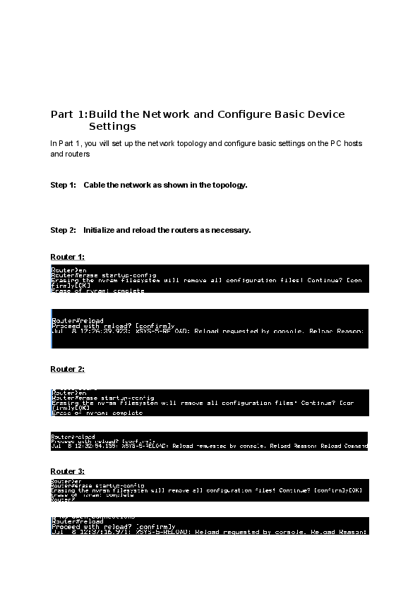 (DOC) Build the Network and Configure Basic Device Settings