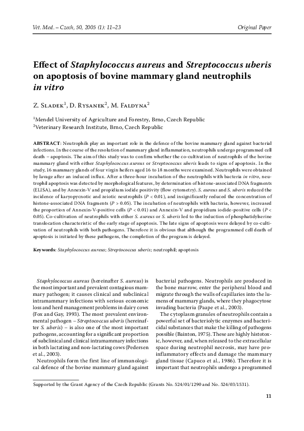 (PDF) Effect of Staphylococcus aureus and Streptococcus uberis on ...