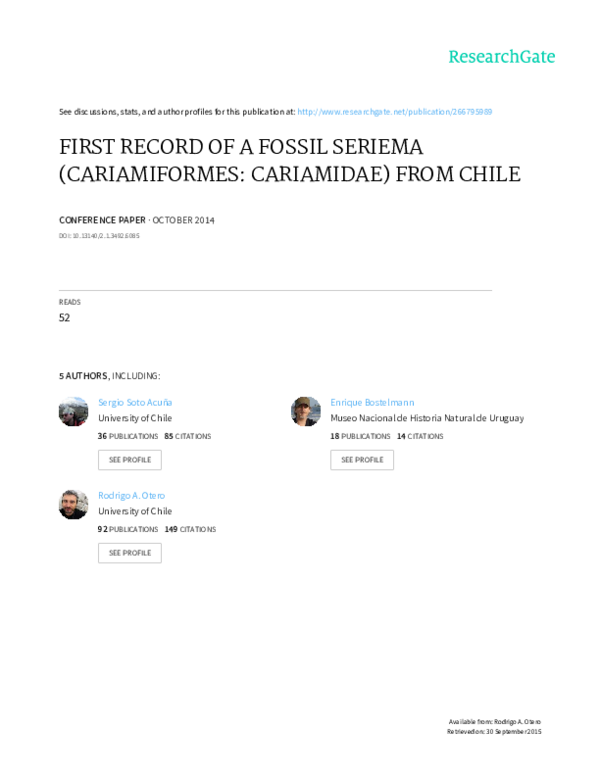 (PDF) First record of a fossil Seriema (Cariamiformes: Cariamidae) from ...