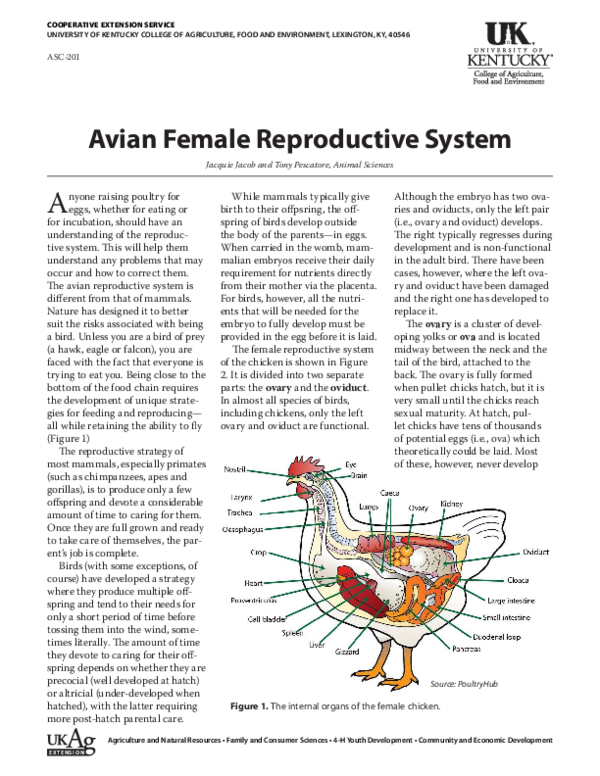 (PDF) Avian