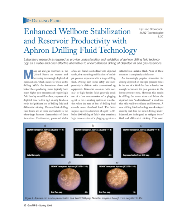 (PDF) Enhanced Wellbore Stabilization and Reservoir Productivity with ...