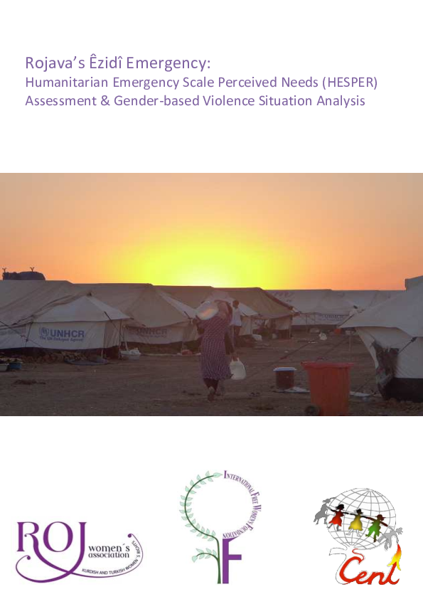 (PDF) Emergency Needs Assessment and GBV Situation Analysis Ezidi ...