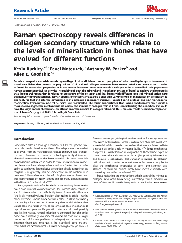 (PDF) Raman spectroscopy reveals differences in collagen secondary ...