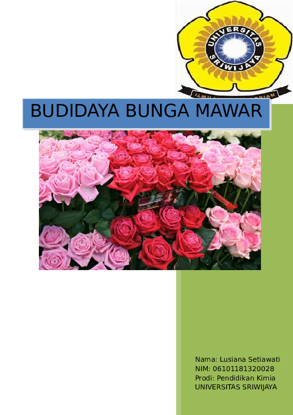 (DOC) Makalah Budidaya Bunga Mawar merah mudah