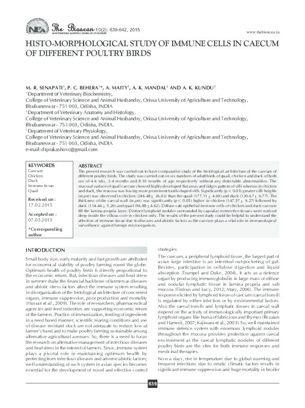 (PDF) HISTO-MORPHOLOGICAL STUDY OF IMMUNE CELLS IN CAECUM OF DIFFERENT ...