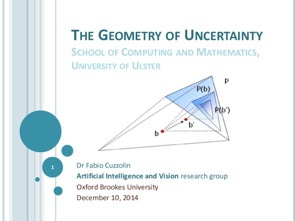 (PDF) THE GEOMETRY OF UNCERTAINTY