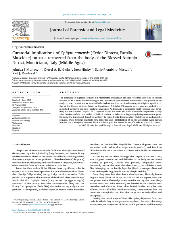 (PDF) Curatorial implications of Ophyra capensis (Order Diptera, Family ...