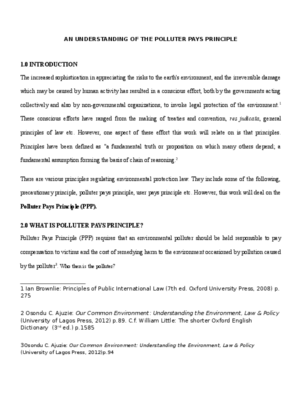 (DOC) AN UNDERSTANDING OF THE POLLUTER PAYS PRINCIPLE