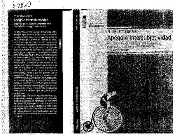 (PDF) Apego-e-intersubjetividad