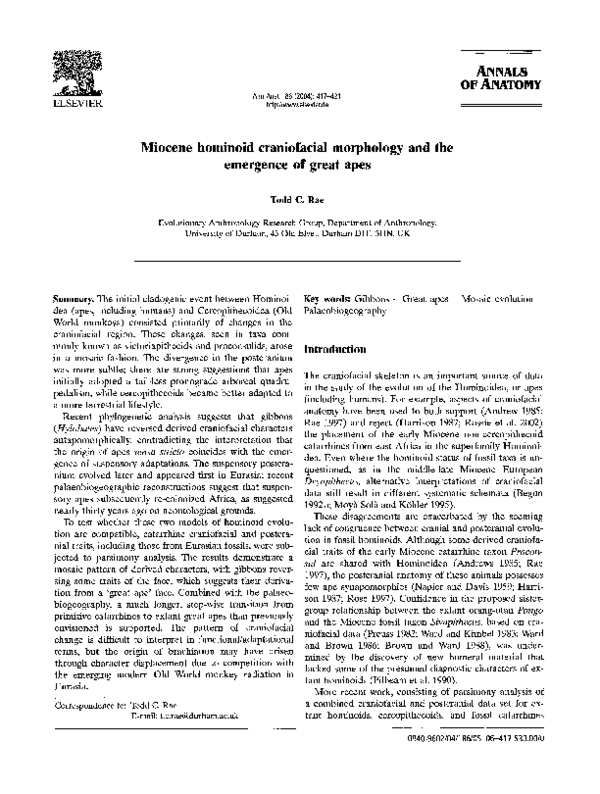 (PDF) Miocene hominoid craniofacial morphology and the emergence of ...