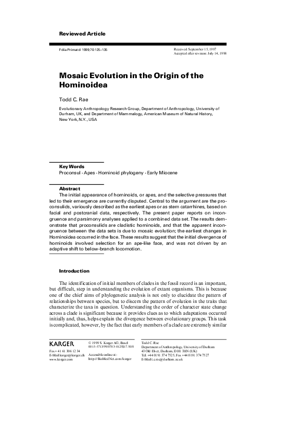 (PDF) Mosaic Evolution in the Origin of the Hominoidea