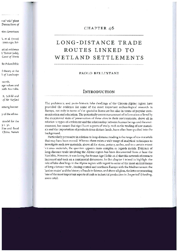 (PDF) Long- distance trade routes linked to wetland settlements
