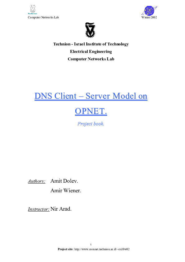 (PDF) Dns final report complete