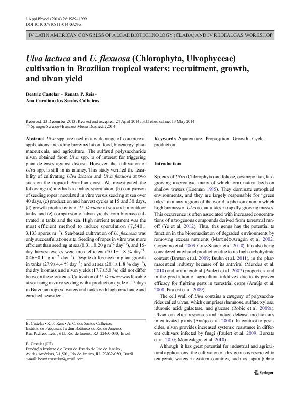 (PDF) Ulva lactuca and U. flexuosa (Chlorophyta, Ulvophyceae ...