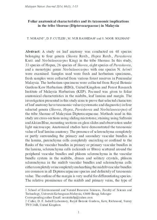 (PDF) Foliar anatomical characteristics and its taxonomic implications ...