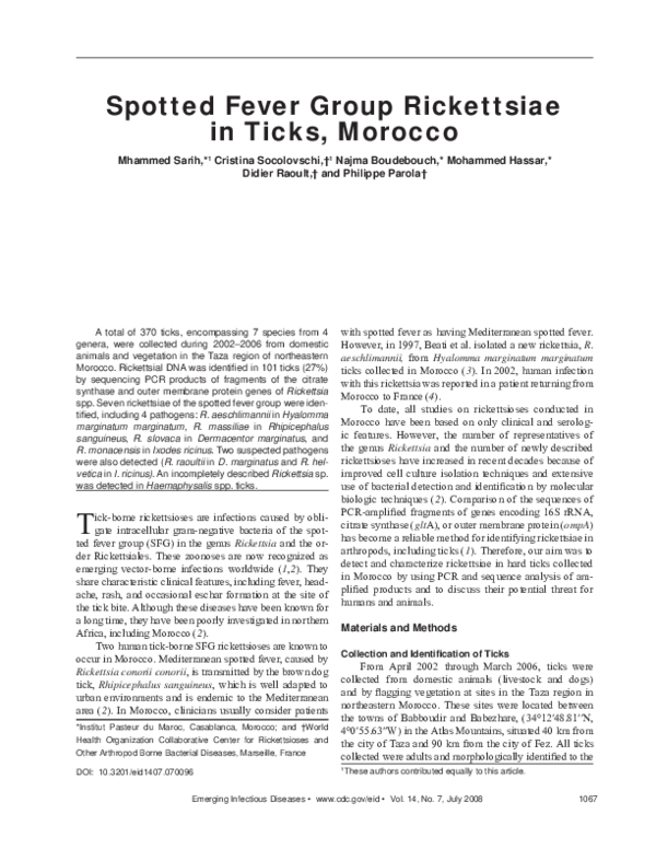 (PDF) Spotted Fever Group Rickettsiae in Ticks, Morocco