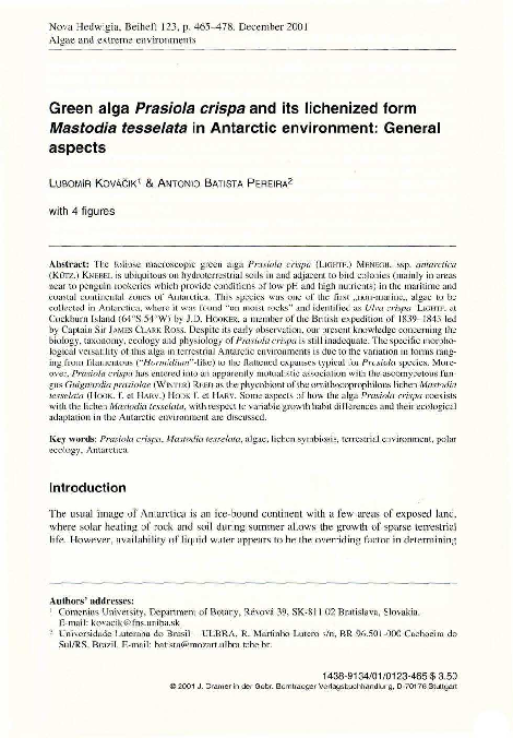 (PDF) Green alga Prasiola crispa and its lichenized form Mastodia ...