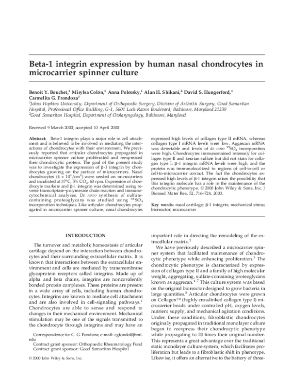 (PDF) Beta‐1 integrin expression by human nasal chondrocytes in ...