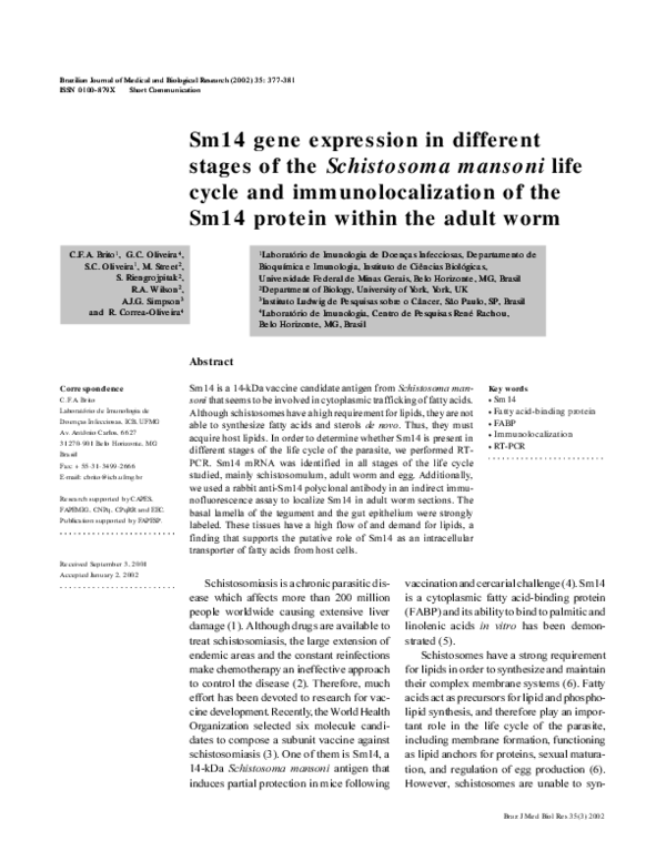 (PDF) Modeling the zing finger protein SmZF1 from Schistosoma mansoni ...