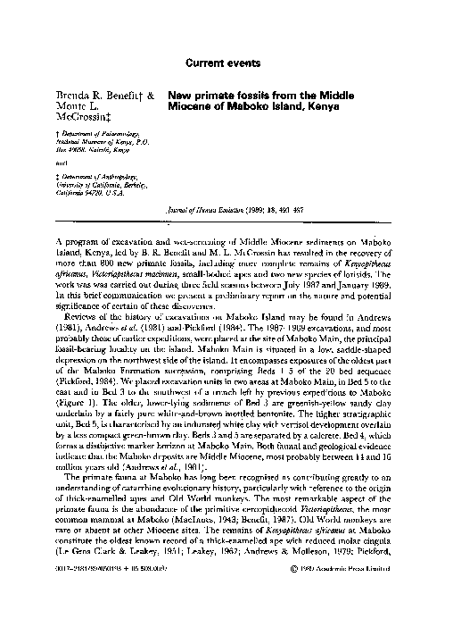 (PDF) New primate fossils from the Middle Miocene of Maboko Island, Kenya