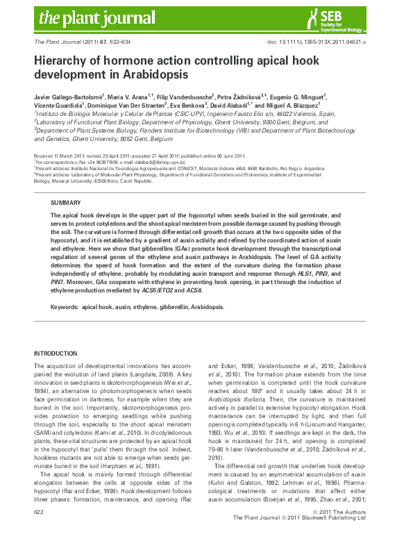 (PDF) Hierarchy of hormone action controlling apical hook development ...