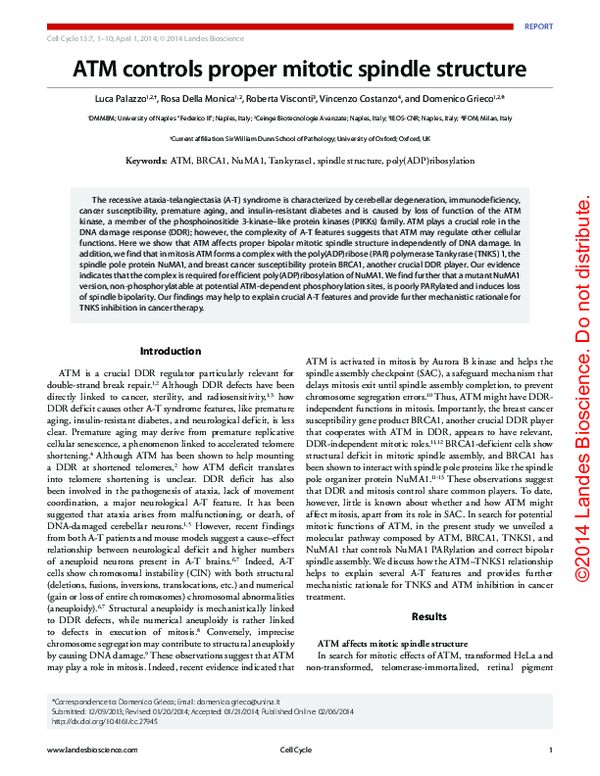 (PDF) ATM controls proper mitotic spindle structure