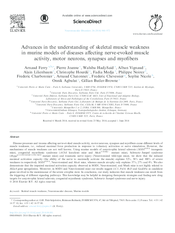 (PDF) Advances in the understanding of skeletal muscle weakness in ...