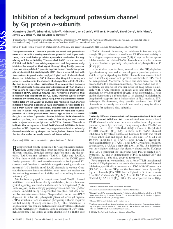 (PDF) Gq Protein Subunit Inhibition of TASK Potassium Channels