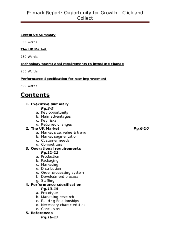 (DOC) PRIMARK REPORT new
