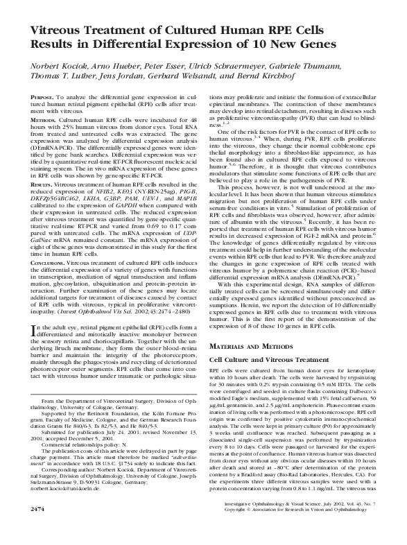 (PDF) Vitreous treatment of cultured human RPE cells results in ...