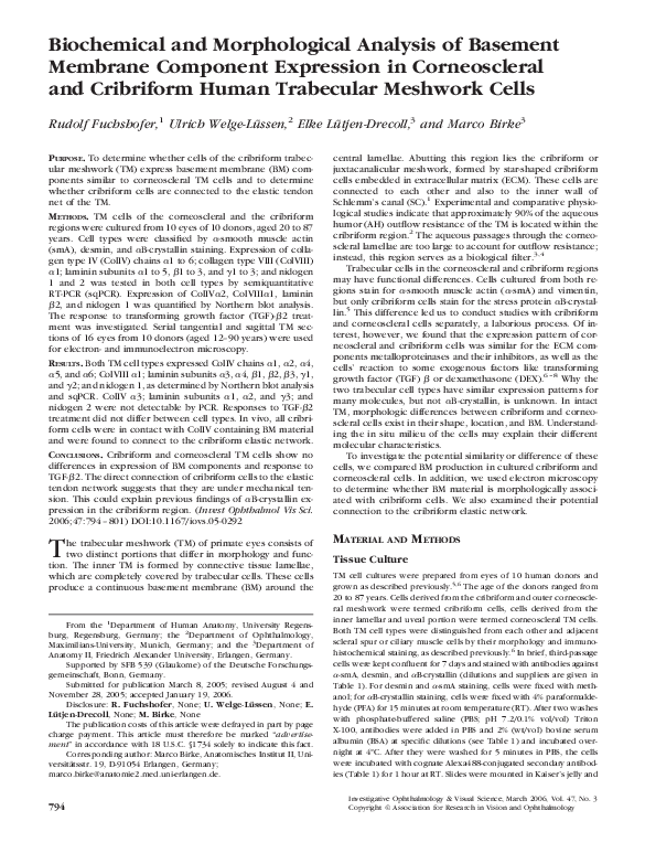 (PDF) Biochemical and Morphological Analysis of Basement Membrane ...