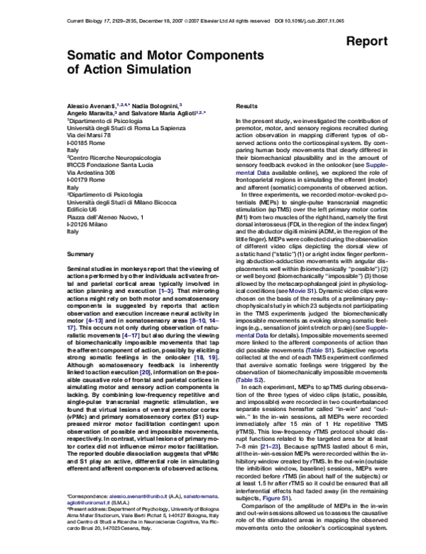 (PDF) Somatic and Motor Components of Action Simulation