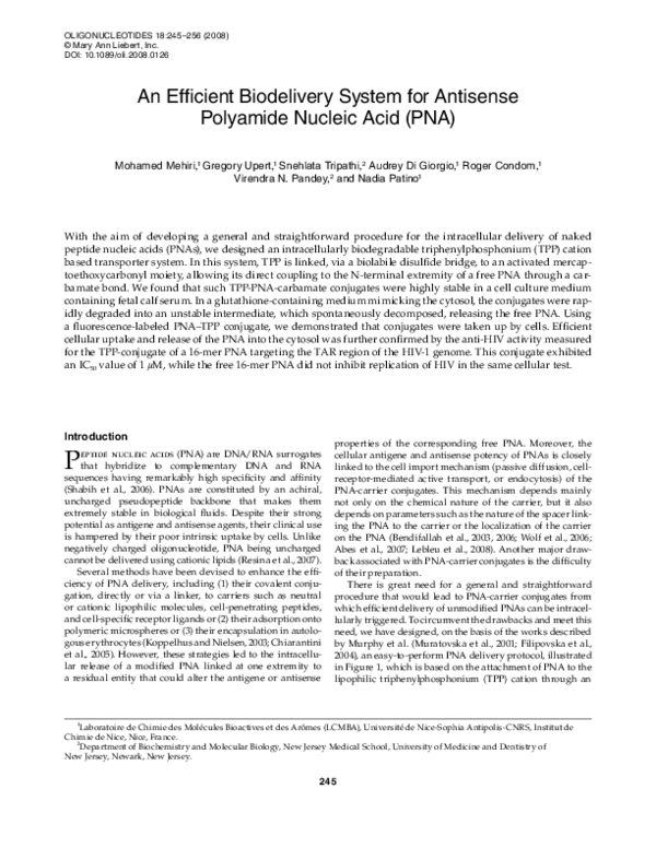 (PDF) An Efficient Biodelivery System for Antisense Polyamide Nucleic ...